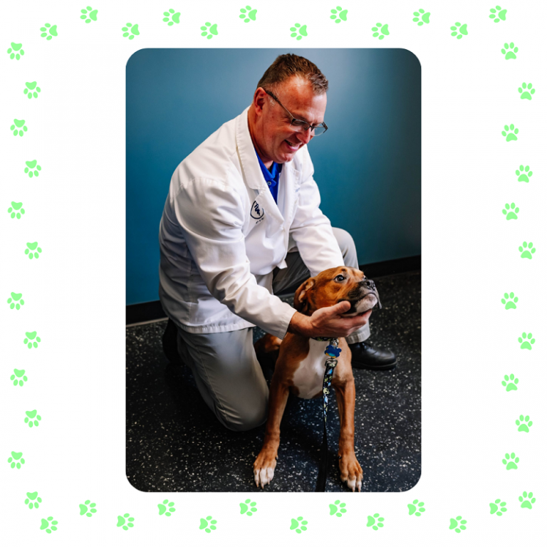 About | Southgate Veterinary Clinic